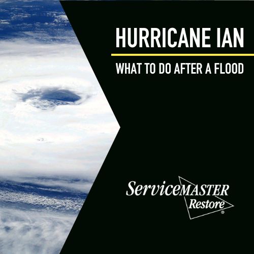 Natural Disasters | ServiceMaster Restore